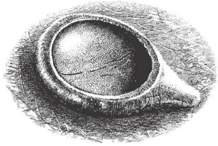 Nanuak | Chronicles of Ancient Darkness Wiki | Fandom