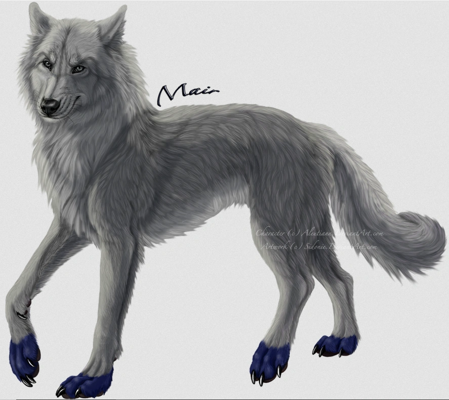 Pawprint | Wolfen Wiki | Fandom