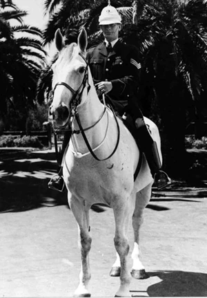 Horsey | Wolfendorf Wiki | Fandom