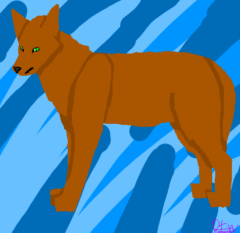Storm | Wolf Generations Wiki | Fandom