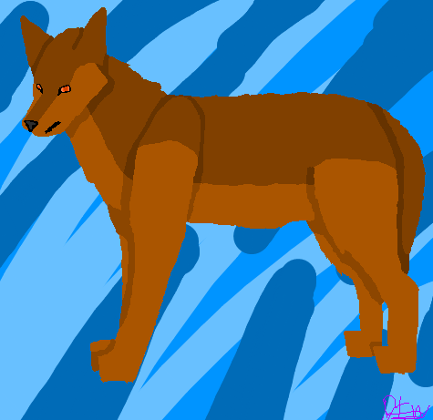 Patch | Wolf Generations Wiki | Fandom