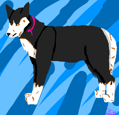 Magenta | Wolf Generations Wiki | Fandom