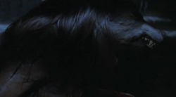 Richard Ryan | Werewolves Wiki | Fandom