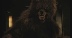 Lucy Brewster | Werewolves Wiki | Fandom