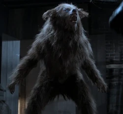 Jordan Sands | Werewolves Wiki | Fandom