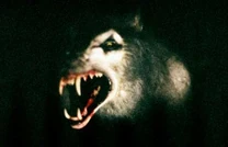 The Werewolf (Ginger Snaps 2) | Werewolves Wiki | Fandom