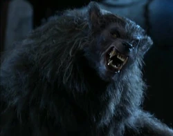Hunter Sands | Werewolves Wiki | Fandom