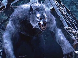 Kyle Reese | Werewolves Wiki | Fandom