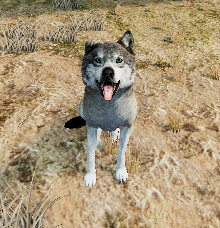 Wikia Senior (Nightangelwolf) | WolfQuest Wolves Wiki | Fandom