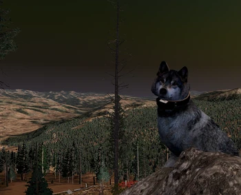 Alder (PeanutSoup) | WolfQuest Wolves Wiki | Fandom