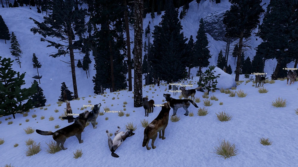 Luna Moon Pack (Sapphirejas) | WolfQuest Wolves Wiki | Fandom