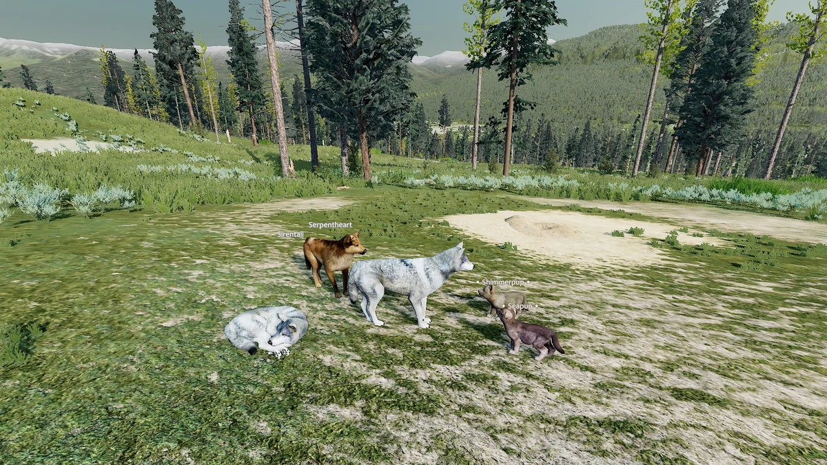 Undine Falls Pack (Sapphirejas) | WolfQuest Wolves Wiki | Fandom