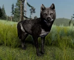 Yellowstone Wolf Coats | WolfQuest Wiki | Fandom