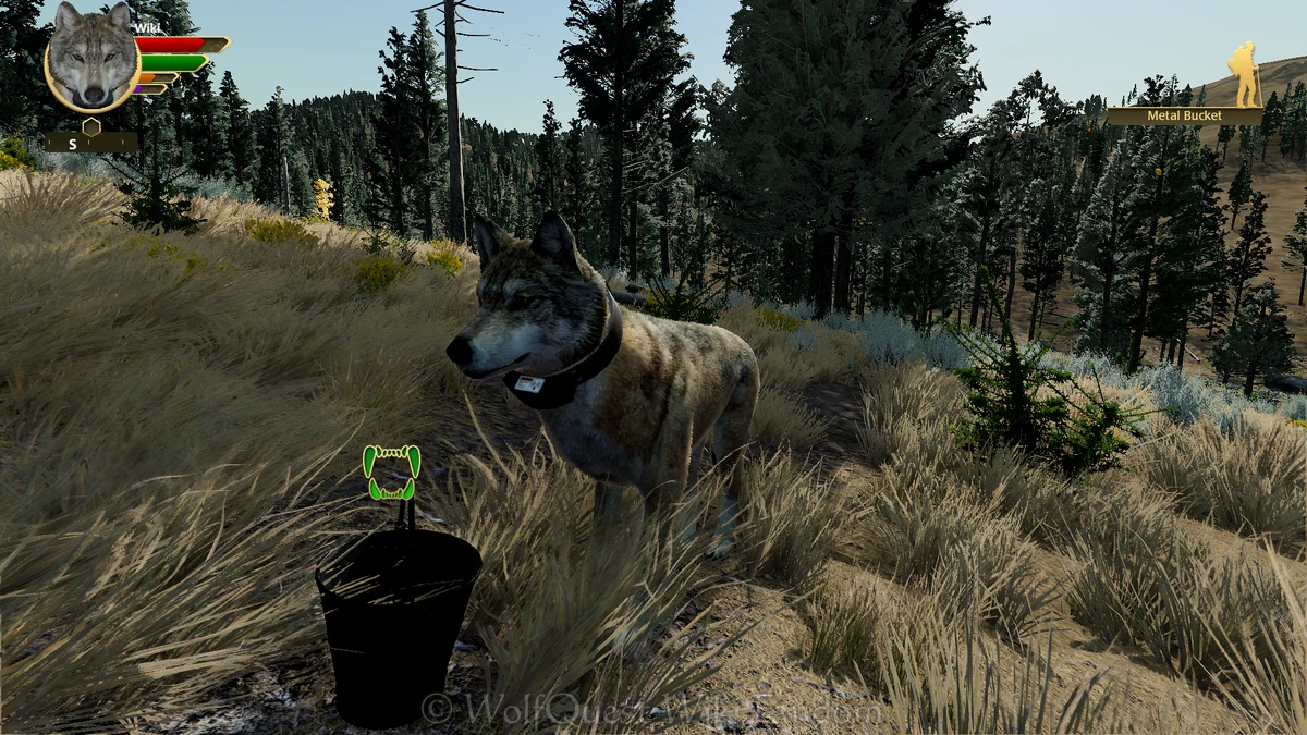 Metal Bucket | WolfQuest Wiki | Fandom