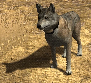 Animation | WolfQuest Wiki | Fandom