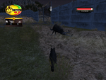 Floppy | WolfQuest Wiki | Fandom