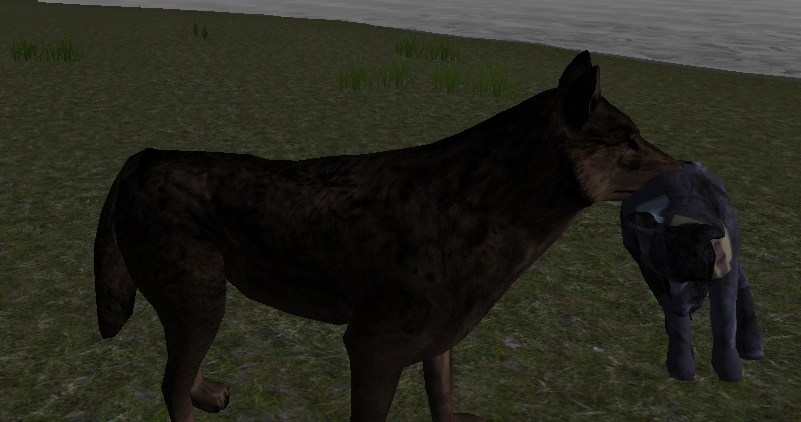 User blog:Wolfseeker/Hello! | WolfQuest Wiki | Fandom