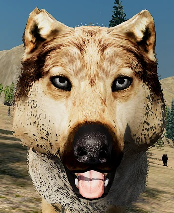 Wolves of the Van Winkle Pack | WolfQuest Wiki | Fandom