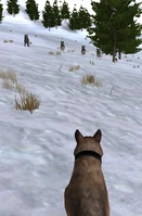 WolfQuest: Classic | WolfQuest Wiki | Fandom
