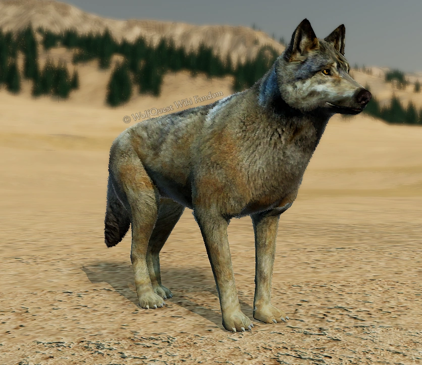 IWC Ambassador Wolves Coats | WolfQuest Wiki | Fandom