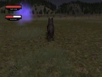 Cattle ranch | WolfQuest Wiki | Fandom