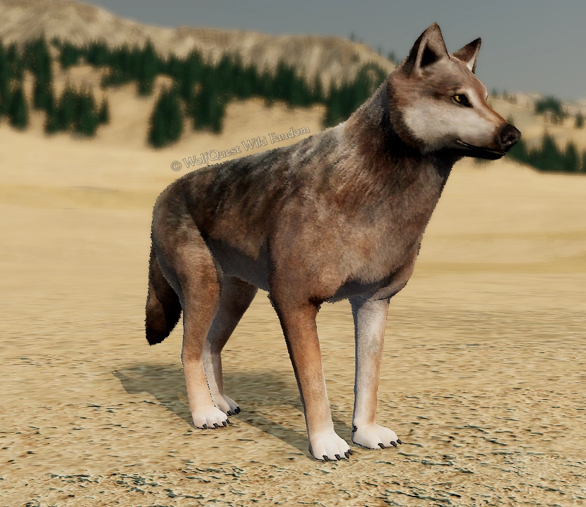 Blacktail Deer Plateau Coats | WolfQuest Wiki | Fandom