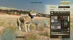 Genetics | WolfQuest Wiki | Fandom