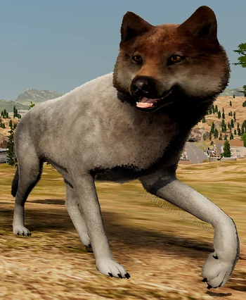 Wolves of the Van Winkle Pack | WolfQuest Wiki | Fandom