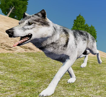 Wolves of the Elevation Pack | WolfQuest Wiki | Fandom