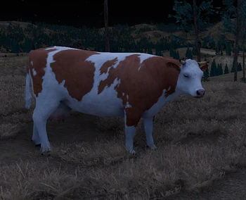 Domestic cattle | WolfQuest Wiki | Fandom