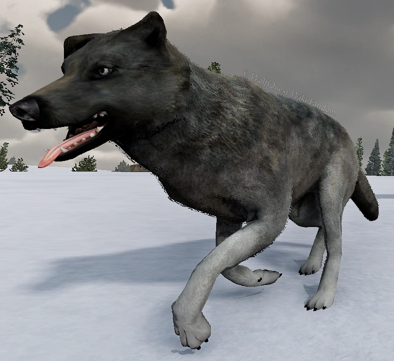 Category:Wolf packs | WolfQuest Wiki | Fandom