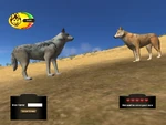 Dispersal wolf | WolfQuest Wiki | Fandom