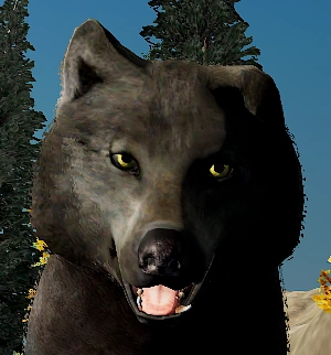 Wolves of the Van Winkle Pack | WolfQuest Wiki | Fandom