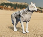 NPC Variation Coats | WolfQuest Wiki | Fandom