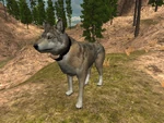 Customization | WolfQuest Wiki | Fandom