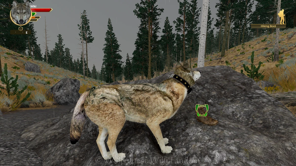 Hiking Boot | WolfQuest Wiki | Fandom
