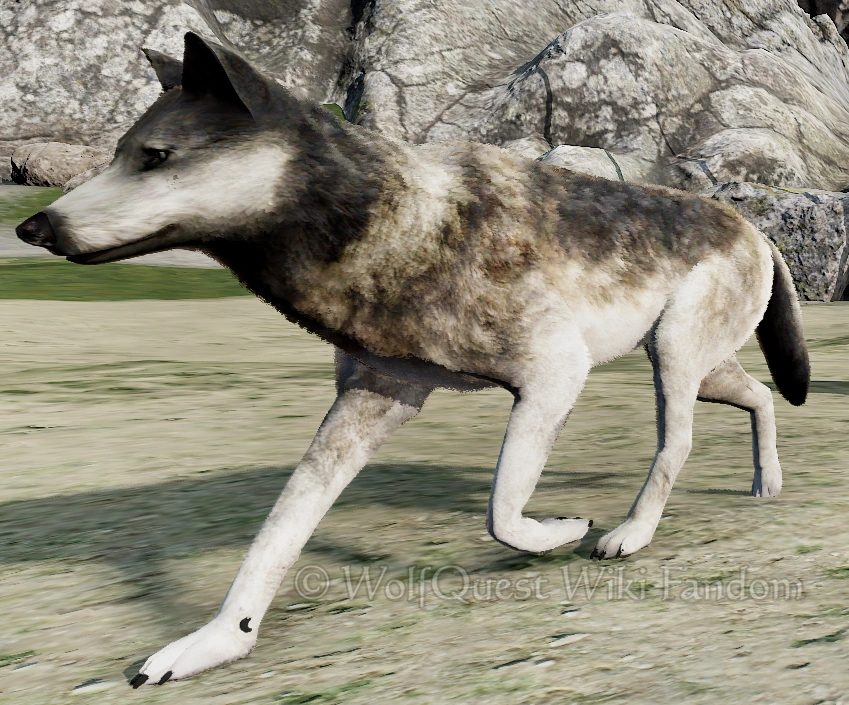 Prospect Peak Pack | WolfQuest Wiki | Fandom