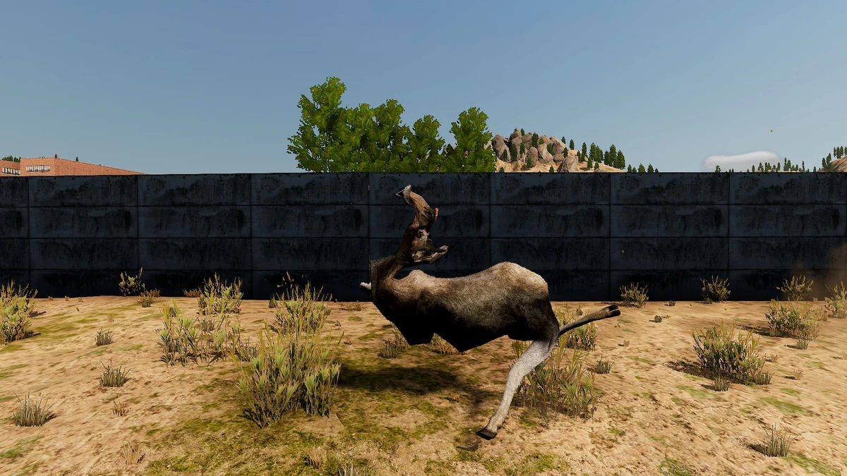 Floppy | WolfQuest Wiki | Fandom