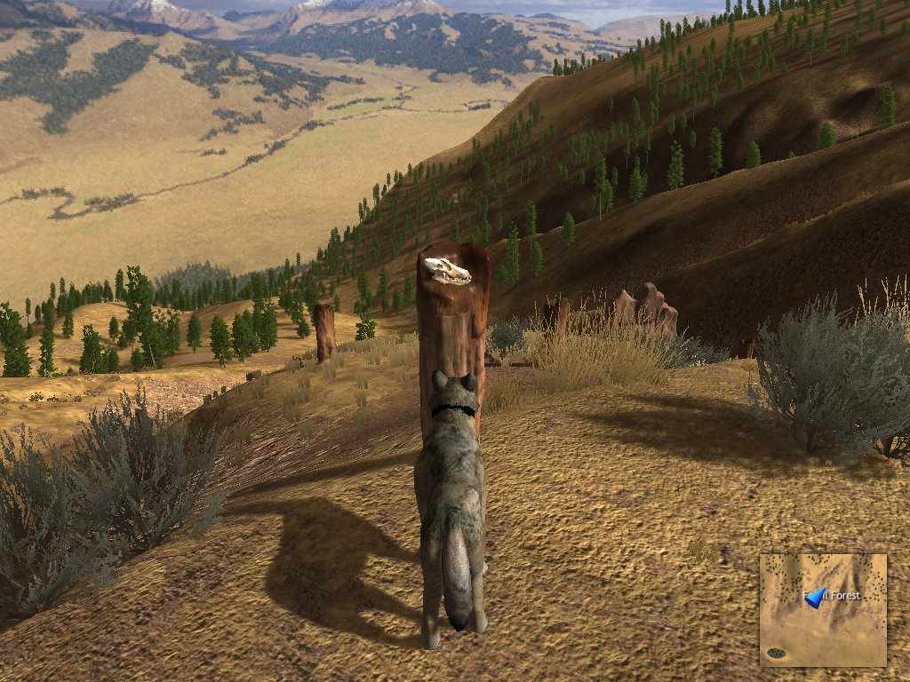 Wolf skull | WolfQuest Wiki | Fandom