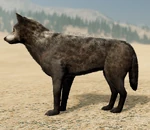Unlockable Coats | WolfQuest Wiki | Fandom