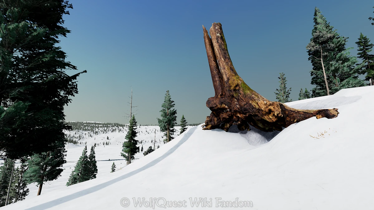 Tree Dens: Slough Creek | WolfQuest Wiki | Fandom