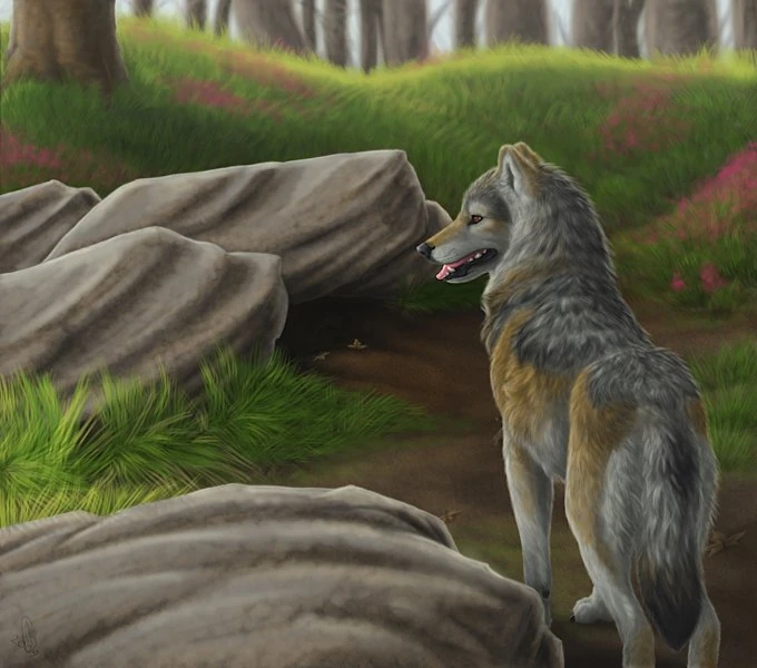 Den Sites: Slough Creek | WolfQuest Wiki | Fandom