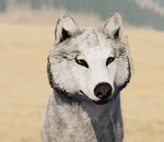 Classic Coats | WolfQuest Wiki | Fandom
