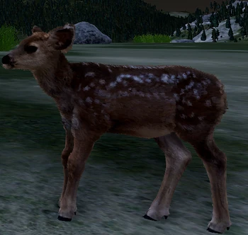 Mule deer fawn | WolfQuest Wiki | Fandom