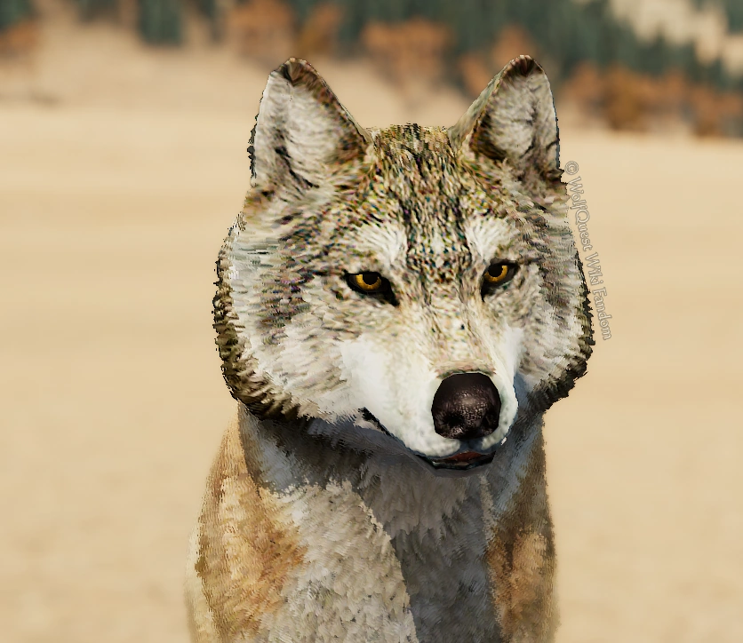 Snaggletooth | WolfQuest Wiki | Fandom