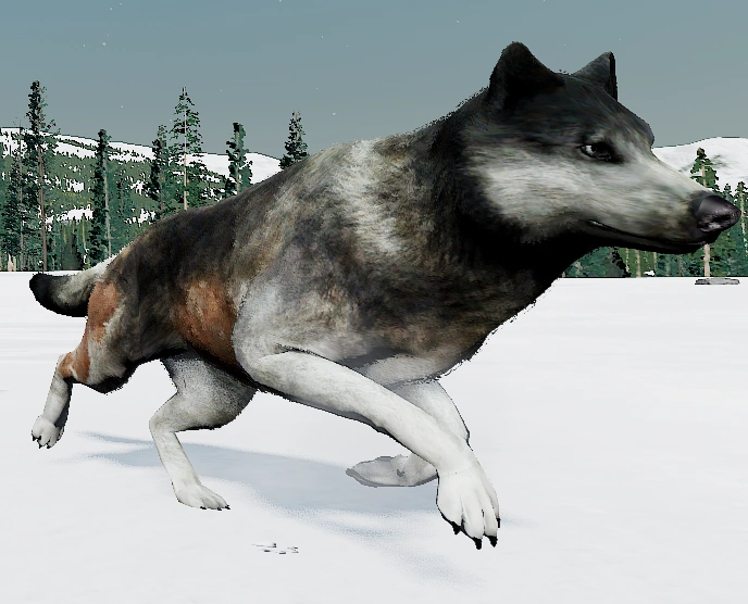 Wolves of the Junction Butte Pack | WolfQuest Wiki | Fandom
