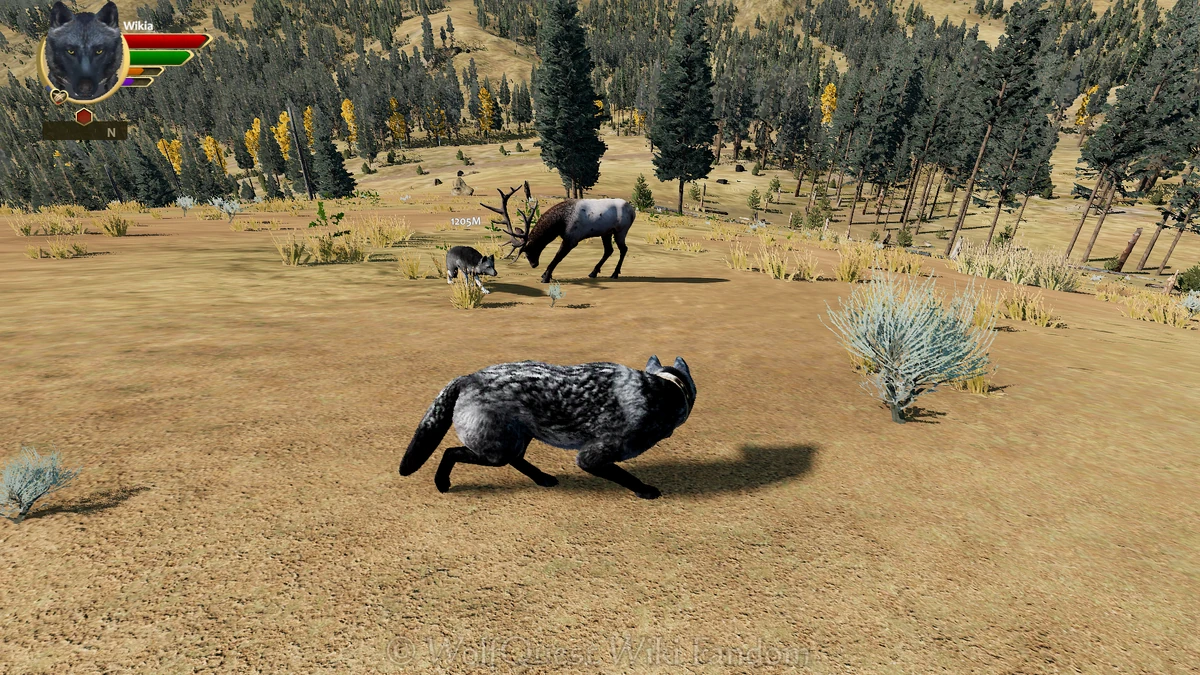 Death: Mate | WolfQuest Wiki | Fandom