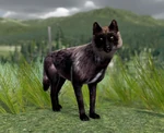 Building Character | WolfQuest Wiki | Fandom