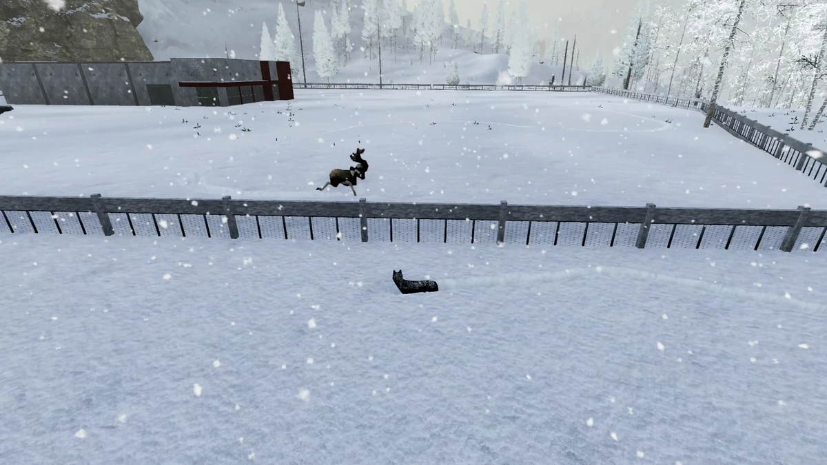 Floppy | WolfQuest Wiki | Fandom