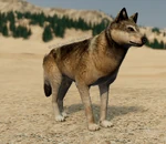 Hall of Fame Coats | WolfQuest Wiki | Fandom